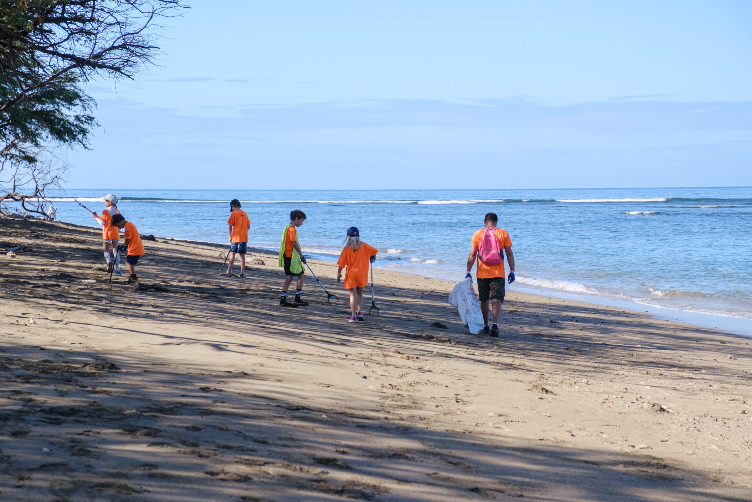 21st annual Lahaina Town Cleanup returns Sept. 27 | News, Sports, Jobs ...